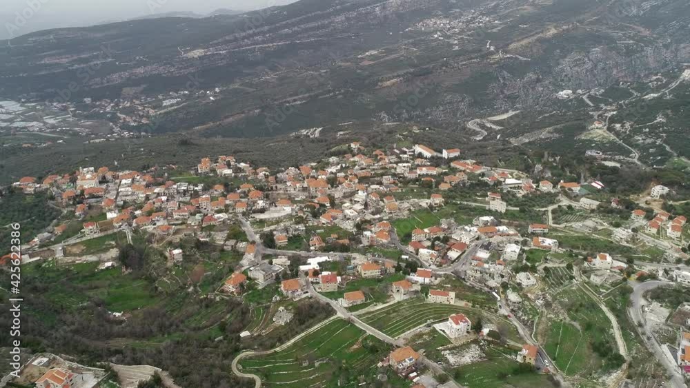 Beautiful village near the forest. Aerial footage of the city and the ...