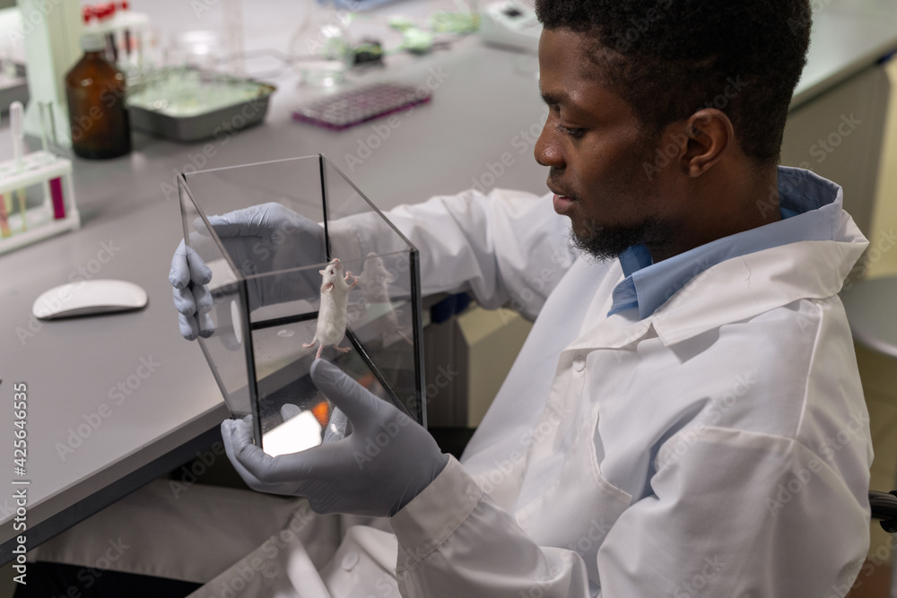 African scientist holding box with mouse in it in his hands and holding ...