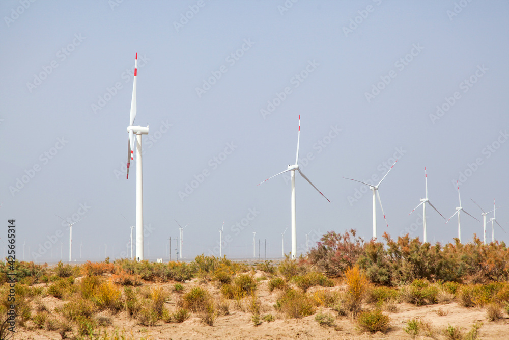 Wind farms in the Gobi Desert Stock Photo | Adobe Stock