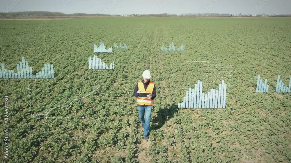 Agricultural researcher naturalist farmer walks through green field ...