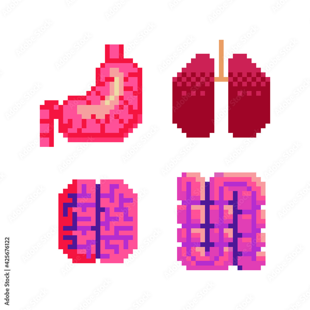 Human organs pixel art icons set. Brain, liver, lungs and stomach ...