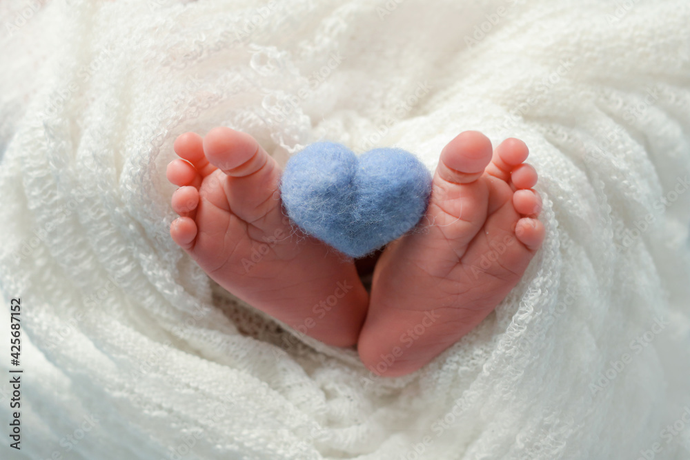 newborn baby's bare heels hold a blue heart on a white background. Bare ...