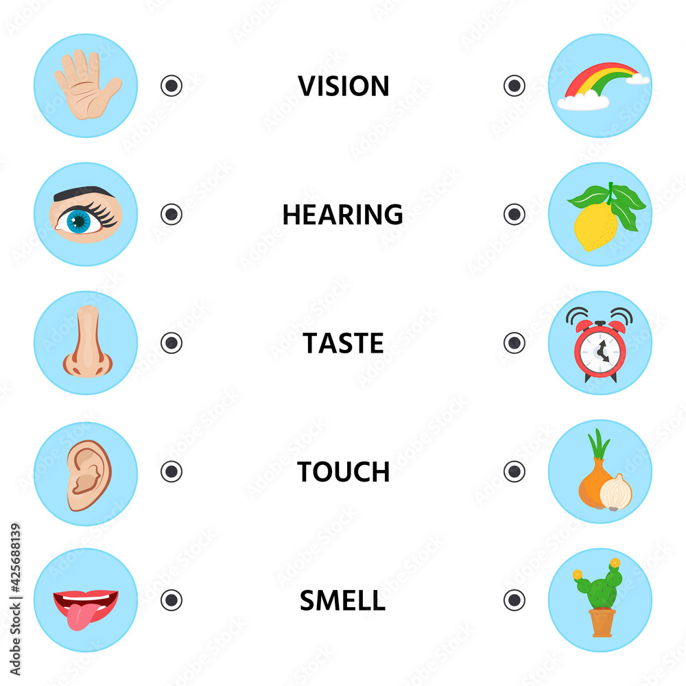 Game For Kids Five Senses Sight Touch Hearing Smell And Taste 