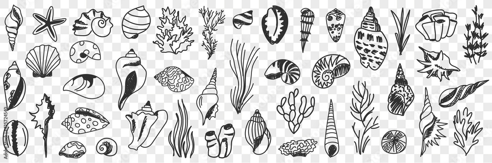 Underwater world creatures doodle set. Collection of hand drawn sea ...