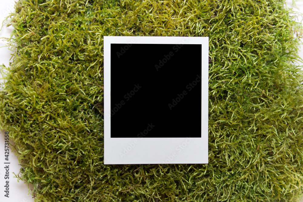 One single polaroid photo with copy blank space on green moss ...