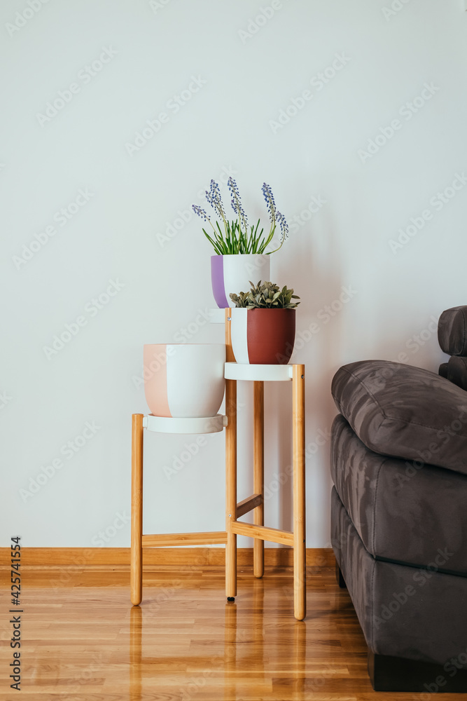 Three modern flowerpots at plant stand at home. Beautiful handmade two ...