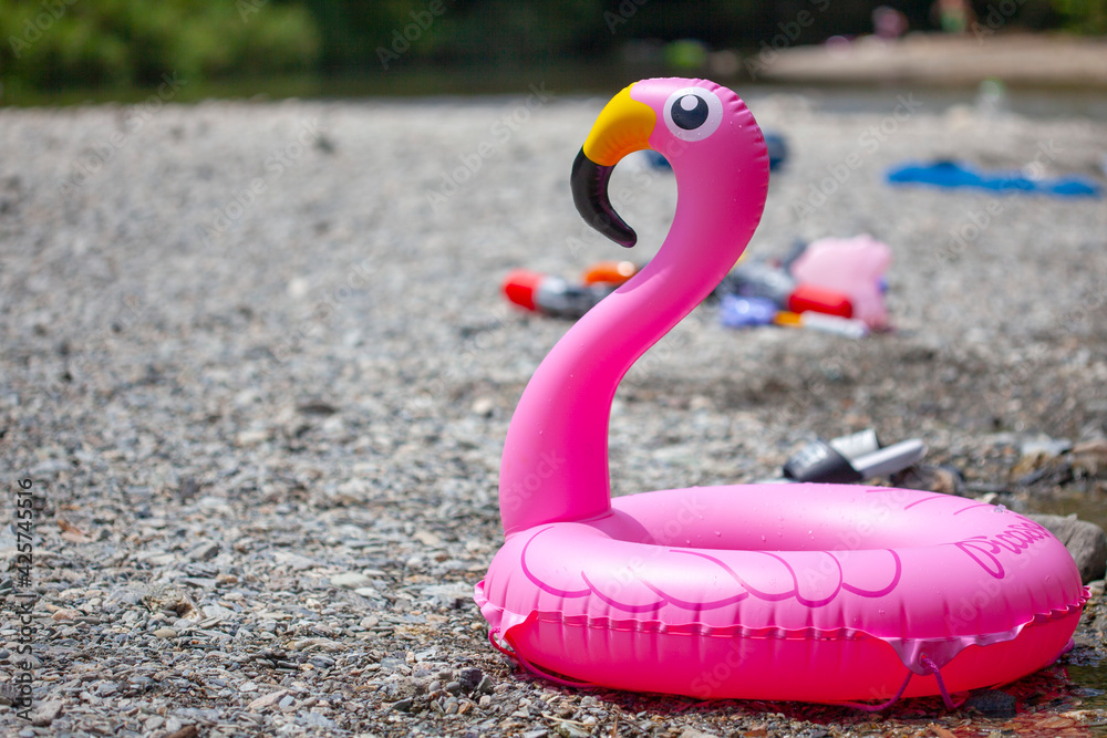 swan-shaped plastic pool float ภาพถ่ายสต็อก | Adobe Stock