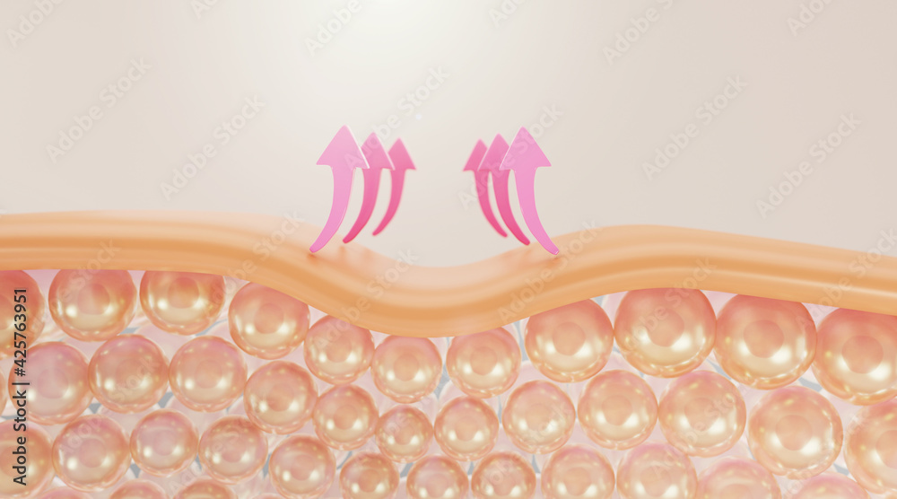 Skin Cells Microscope