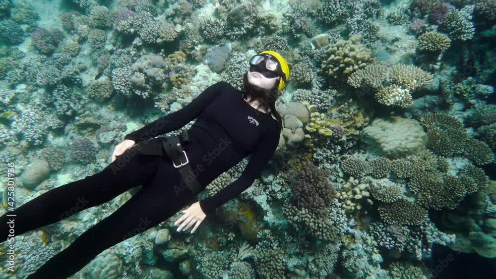 Girl floating under water. Young female diver in black wetsuit ...