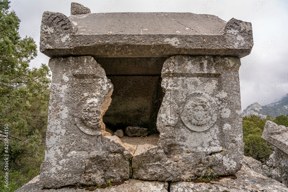 Reliefs of psidian shield and lion on the sarcophagus (rock tombs) at ...