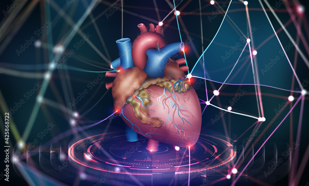 Human heart. Technology of future in medicine. Transplantology and ...