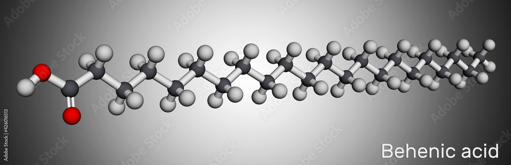 Behenic acid, molecule. It is docosanoic acid, straight-chain, long ...