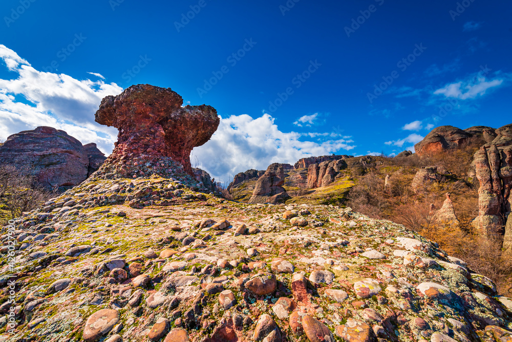 Monolithic rocks formation in the shape of a mushroom in Belogradchik ...