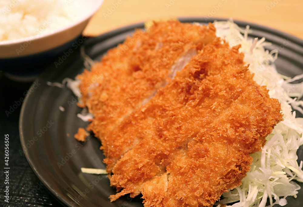 Plate of Pork Cutlet Called Tonkatsu, a Popular Japanese Style Western ...
