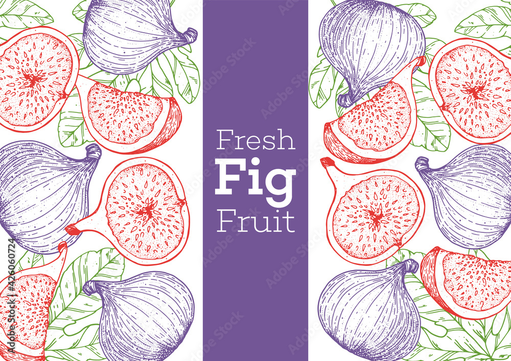 Fig fruit hand drawn package design. Vector illustration. Design ...