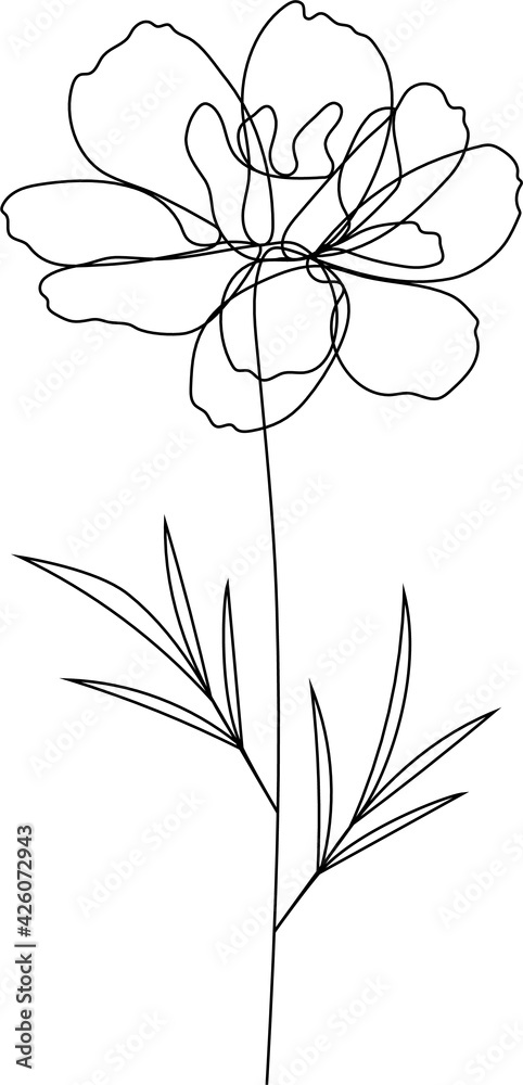 Continuous line marigold floral drawing, October birth flower, vector ...