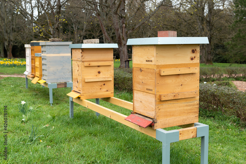 beehive boxes apiary in nature on field Stock Photo | Adobe Stock