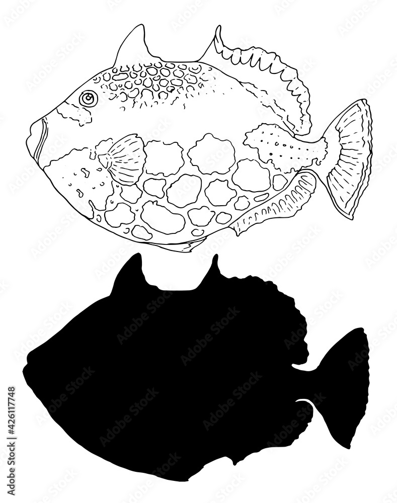 Vector set of hand-drawn sketch-style black outline and silhouette of a ...