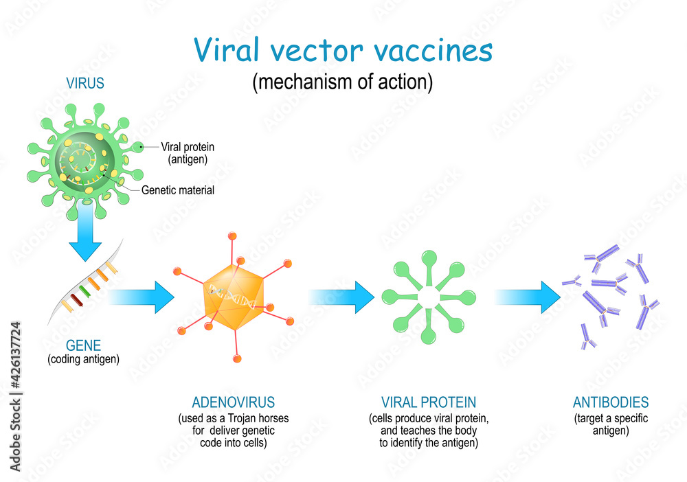 Viral vector vaccines Stock Vector | Adobe Stock