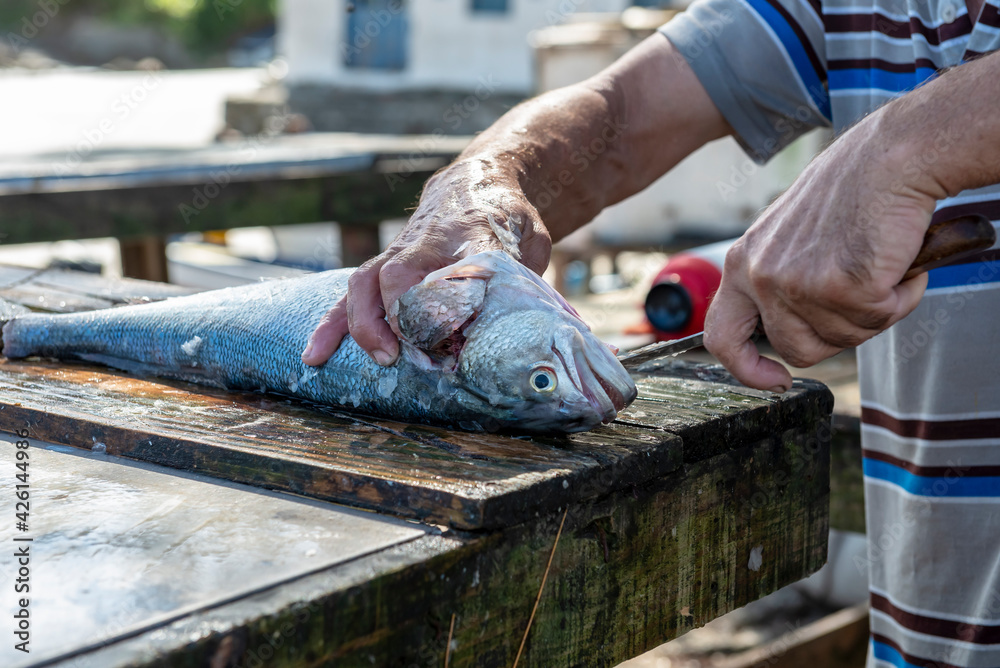 homem pescador limpando peixe na praia Stock Photo | Adobe Stock