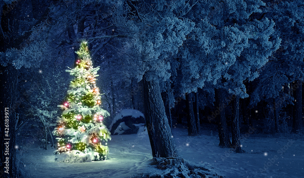 christmas tree with lights Stock Photo | Adobe Stock