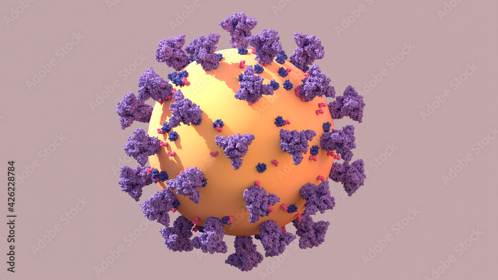SARS-CoV-2, Structure of the Coronavirus genome a twisted strand of of ...