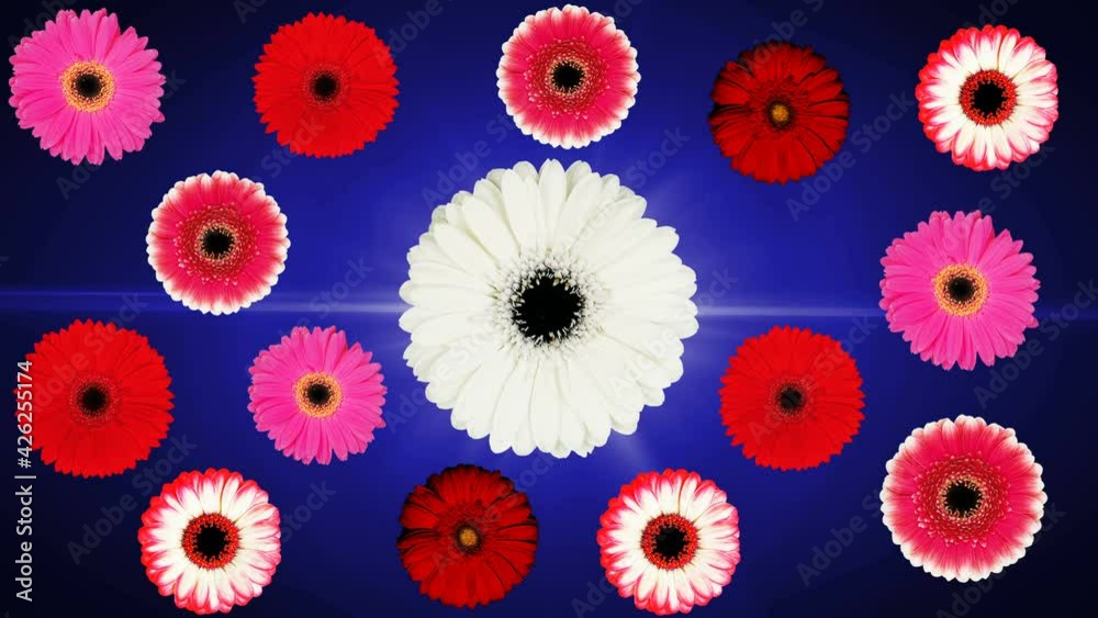 VJ Disco Abstract Background, Colorful Background, 4K Ultra HD ...