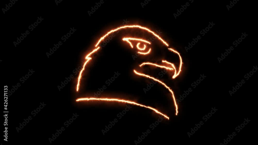 Eagle head outline of burning flames and eagle head in neon lights ...