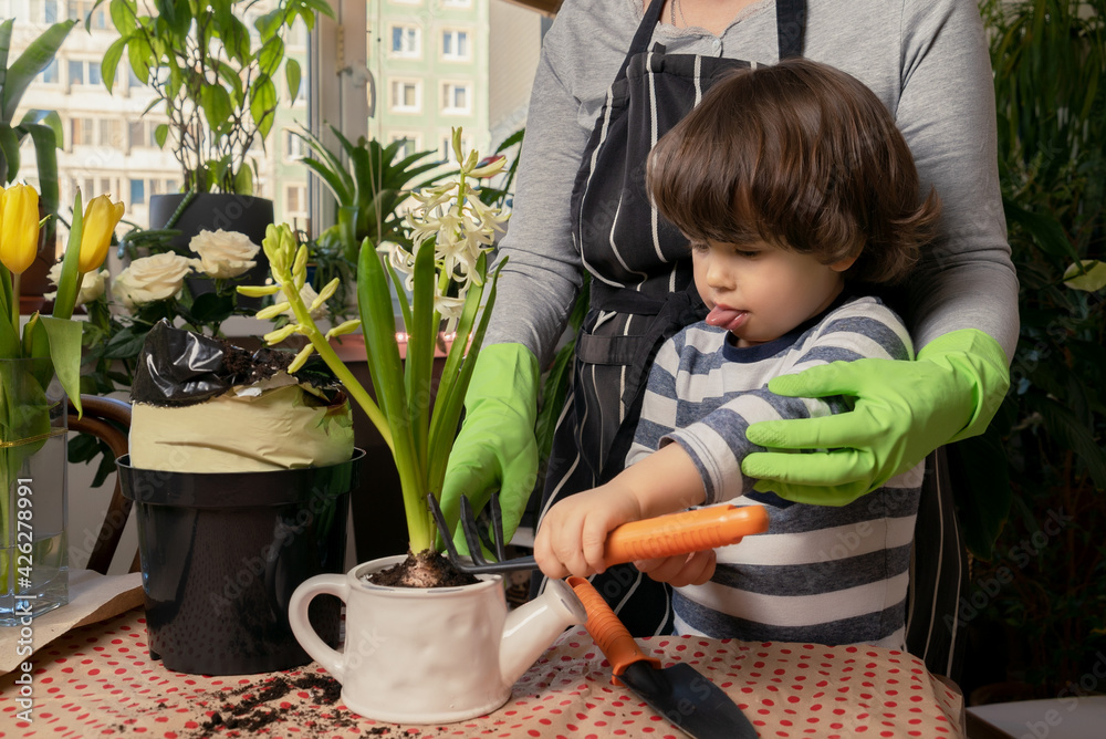 Little child helping grandma to plant a flower Stock Photo | Adobe Stock
