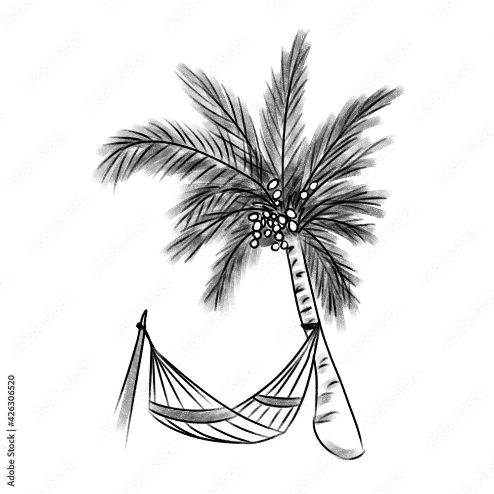 bitmap isolated image of a palm tree with a hammock.digital image ...