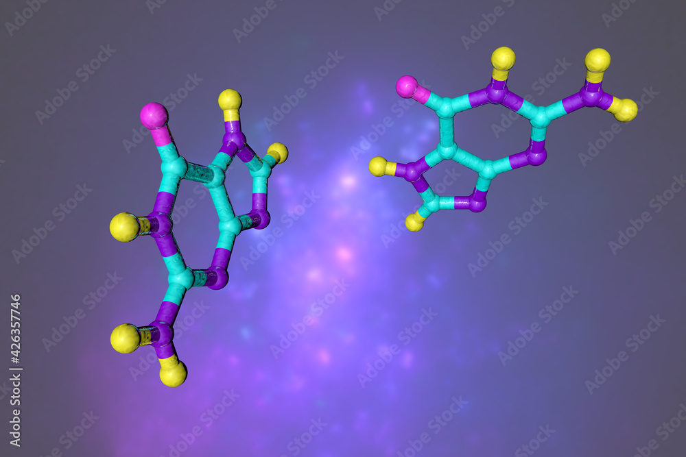 Molecular model of guanine one of the four main bases found in DNA and ...