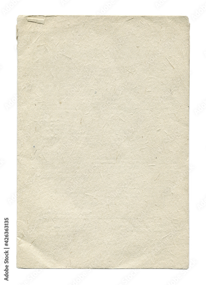 Vintage paper blank isolated on white background. Old paper texture for ...