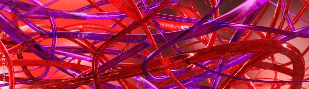 Blood vessels, circulatory system, veins and arteries, 3D rendering ...