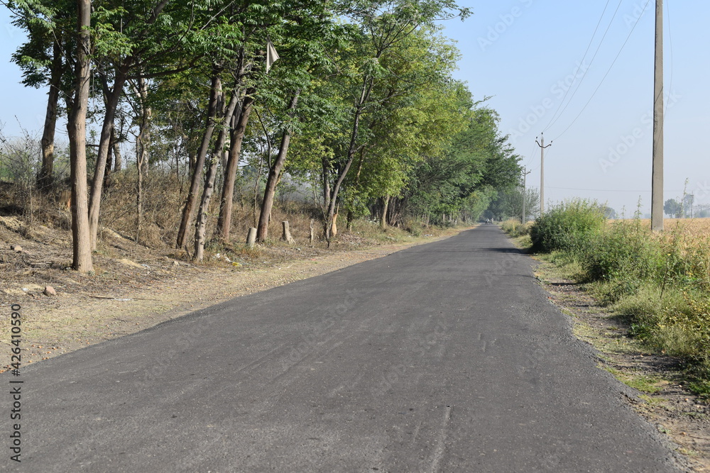 Village road of Patiala, Punjab, India. Indian villages still dont have ...