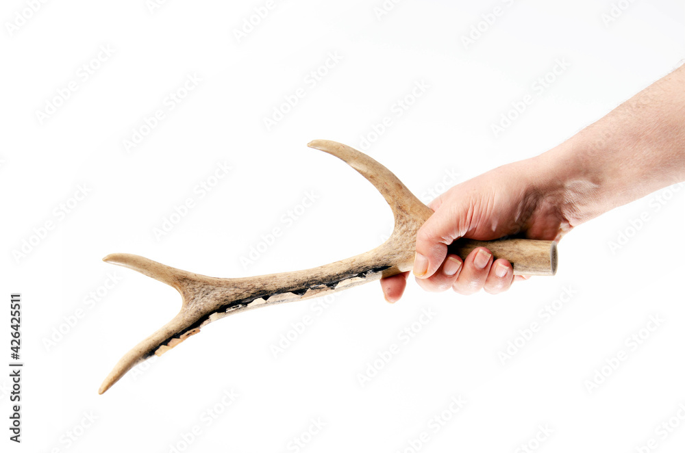 Foto de small microliths of flint from the stone age, paleolithic ...