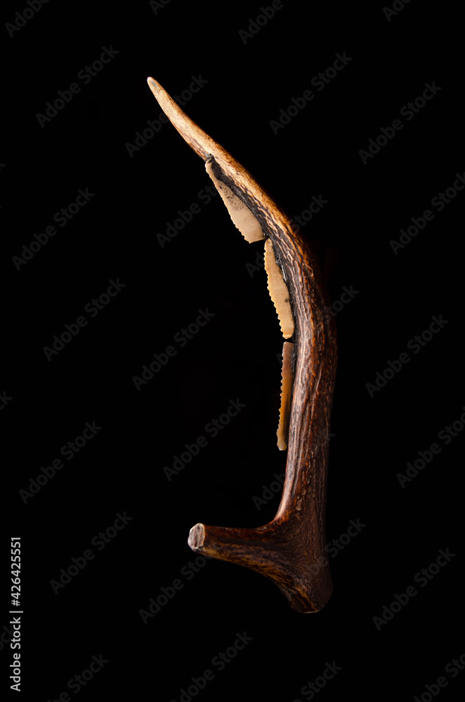 Set of prehistoric mountain ranges. from the stone age. placed on an ...