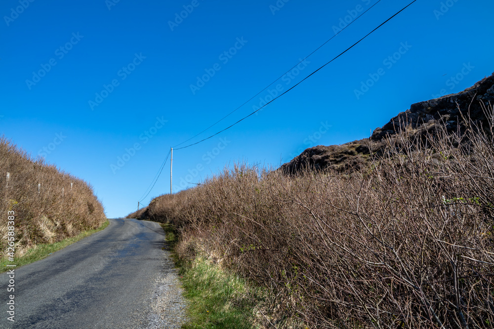 Utility Pole and lines for transmission of electricity and ...