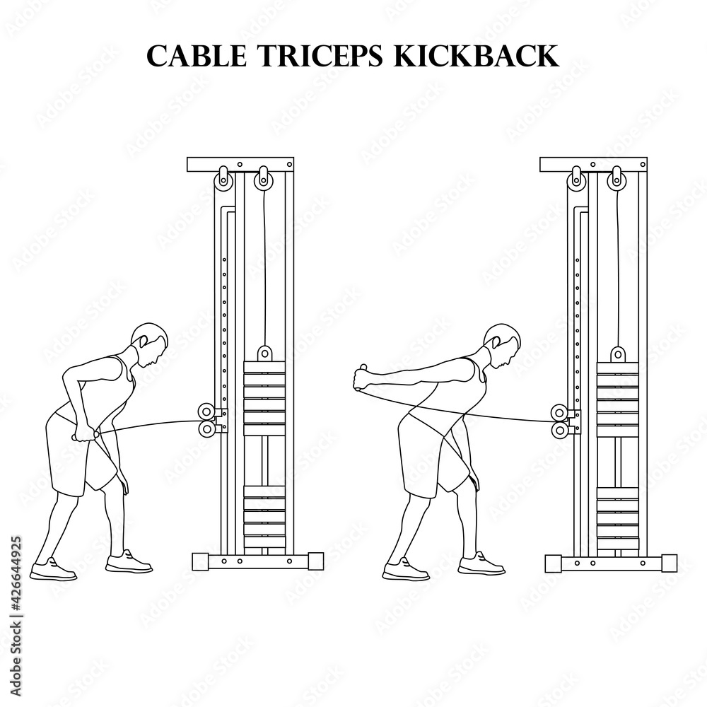 Cable triceps kickback exercise strength workout vector illustration ...