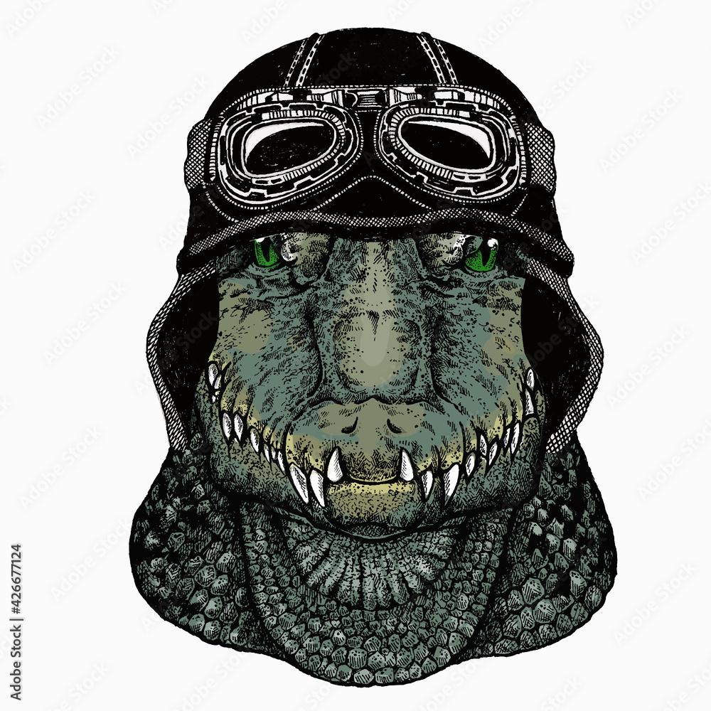 Crocodile head. Alligator portrait. Animal wearing vintage motorcycle ...