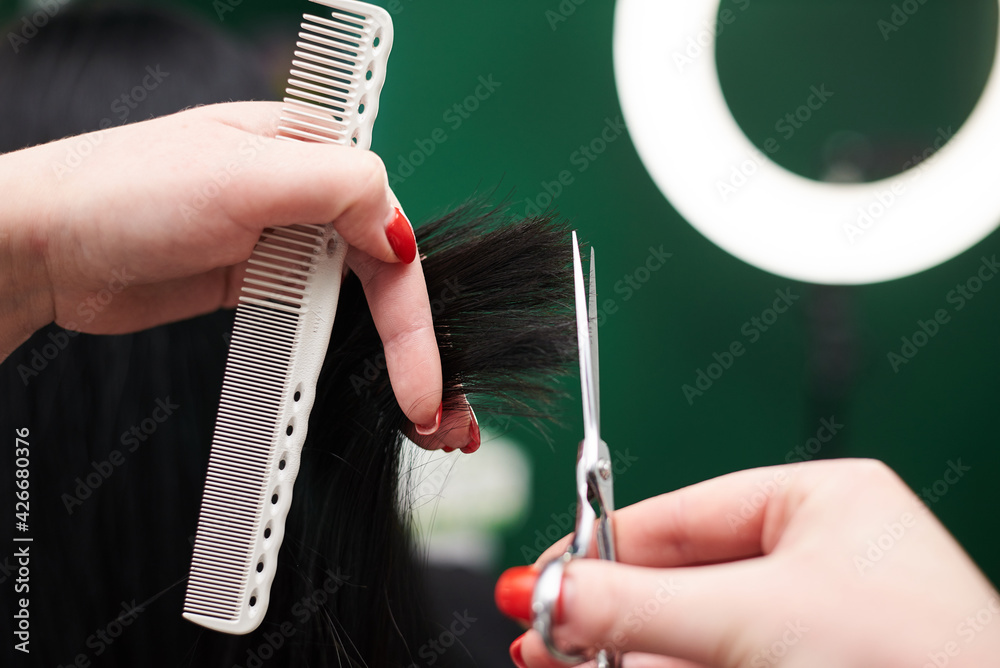 Professional hairdresser making haircut for female client. Close-up ...