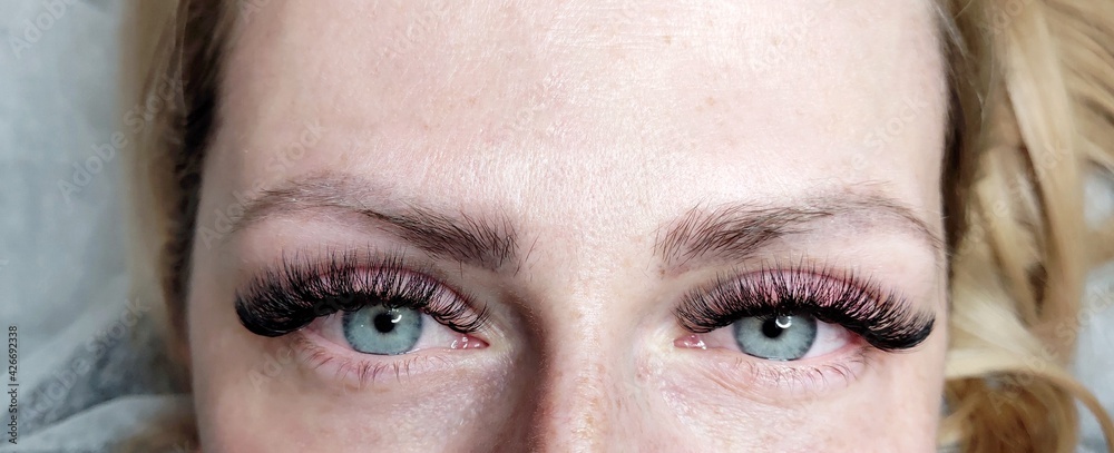 Blue eyes with lash extensions Stock Photo | Adobe Stock
