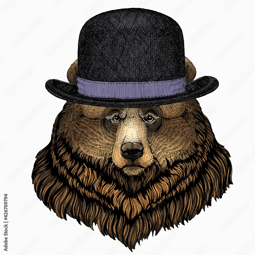 Real Bear Head Hat