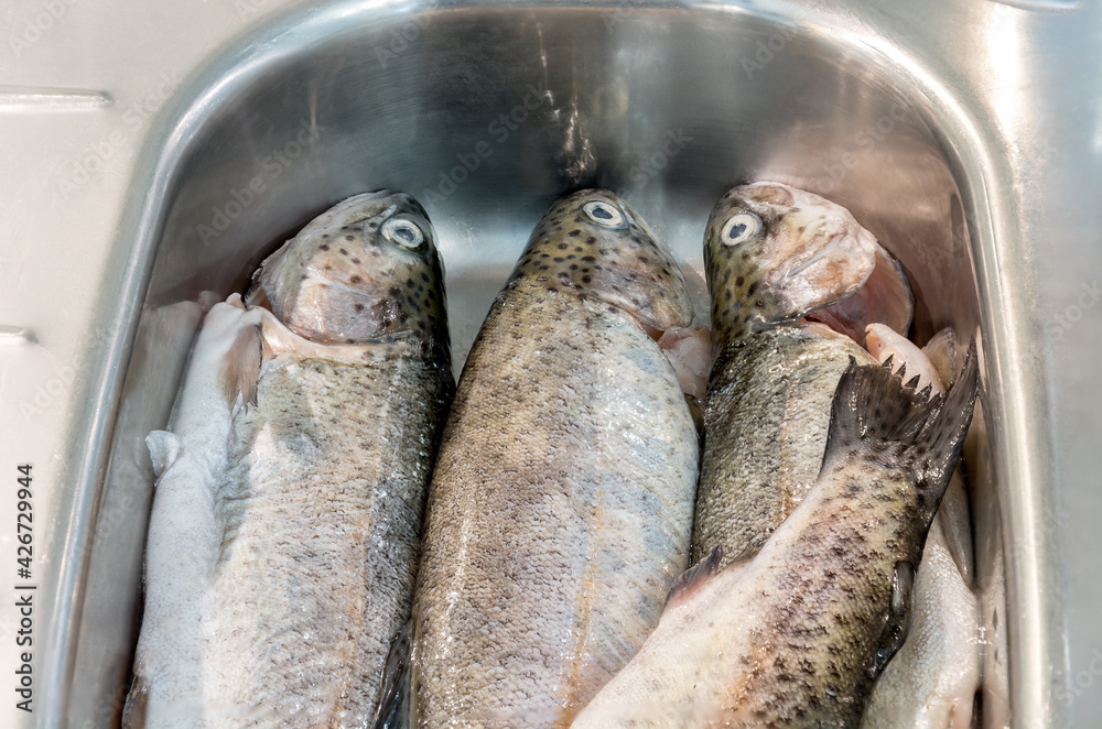 Raw wet peeled rainbow trout fish lie and thaw in the kitchen sink ...