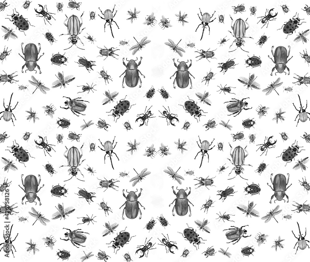 patrones de insectos y escarabajos para telas y tarjetas insect and ...