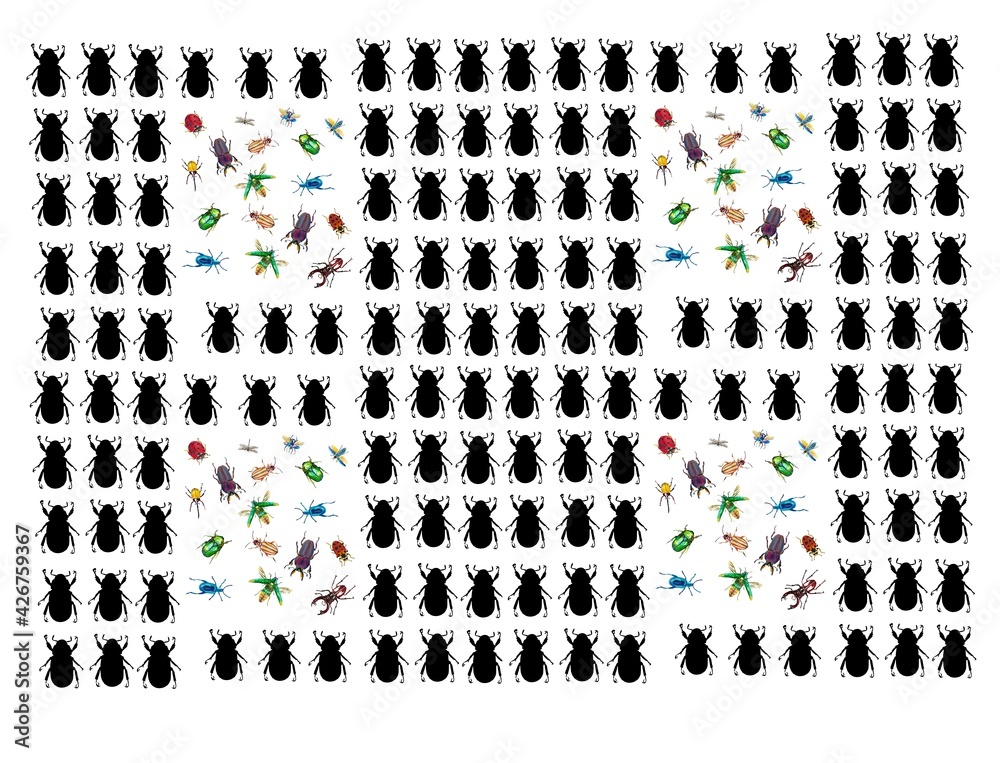 patrones de insectos y escarabajos para telas y tarjetas insect and ...
