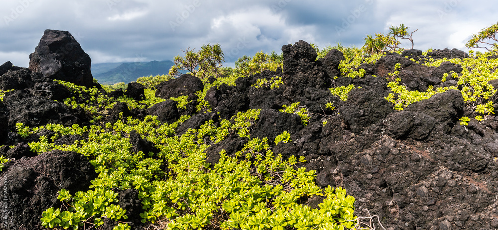 The Kipapa O Kikapi'ilani Trail, Wainapanapa State Park, Maui, Hawaii ...