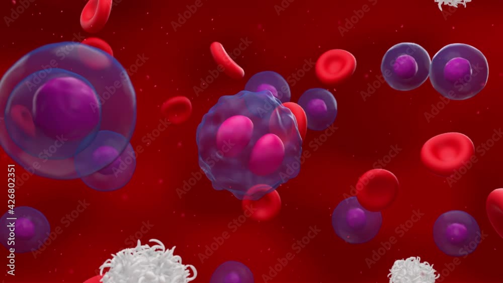 Activated t-cells attack and destroy a divided lymphoma cell 3d render ...
