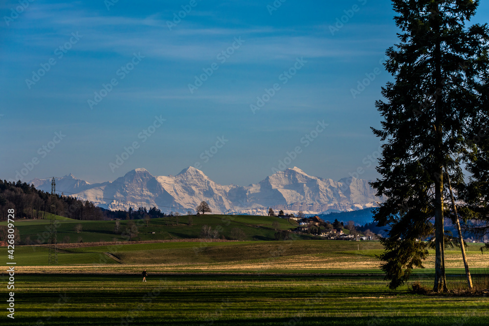 ersigen loberg lindenbaum mit eiger mönch und jungfrau foto de Stock ...