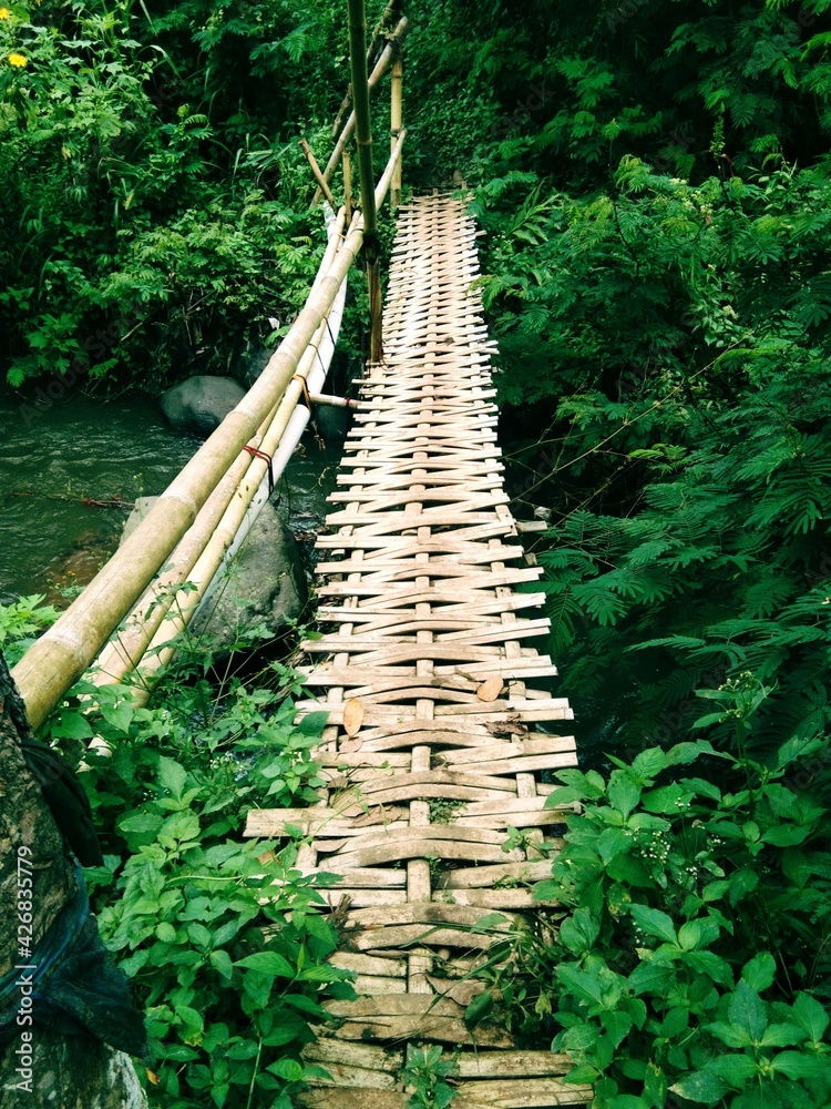 Beautiful green forest with the bamboo bridge at Curug Pengantin ...