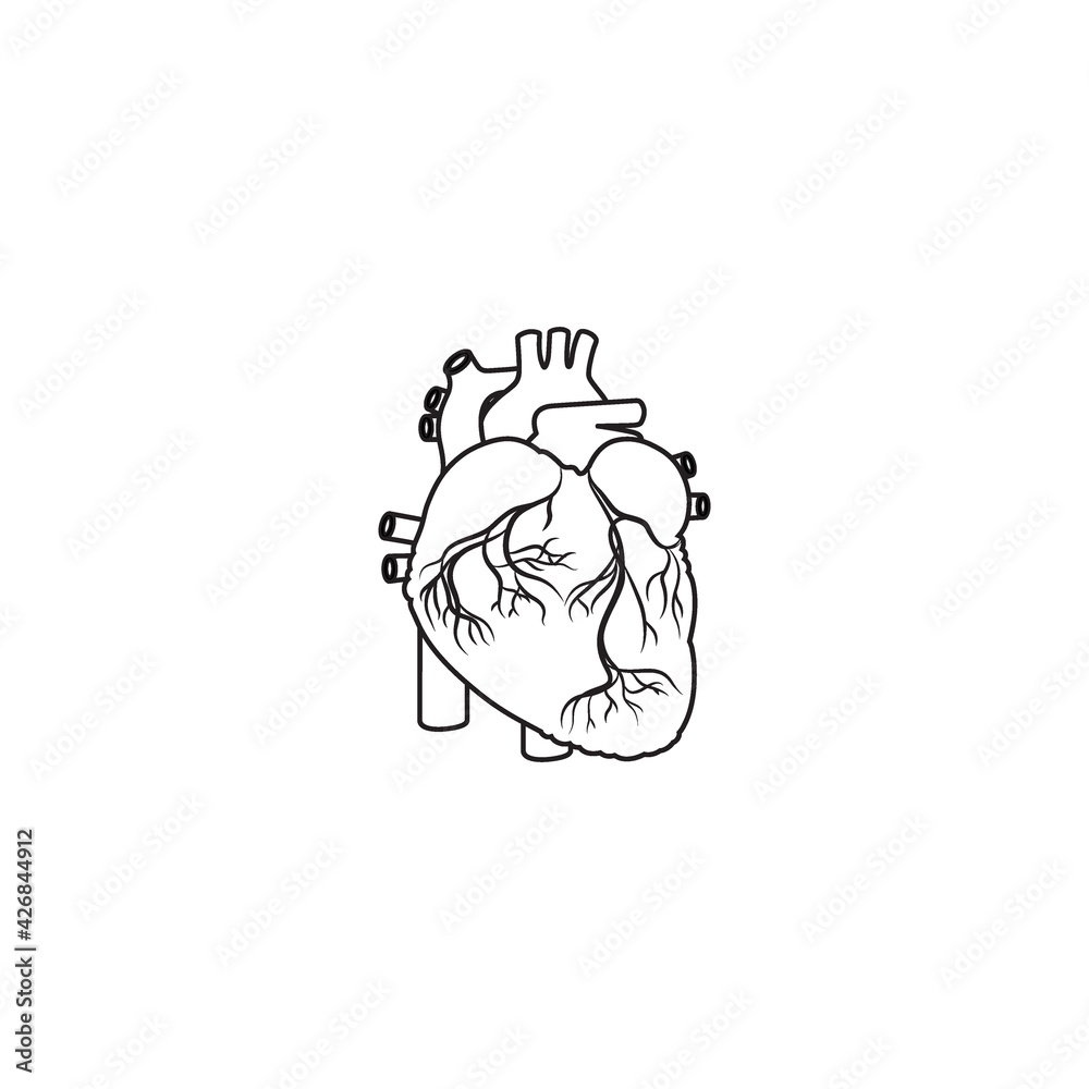 Modern Minimalistic Human Heart Line Icon Vector. Simple Heart Outline ...